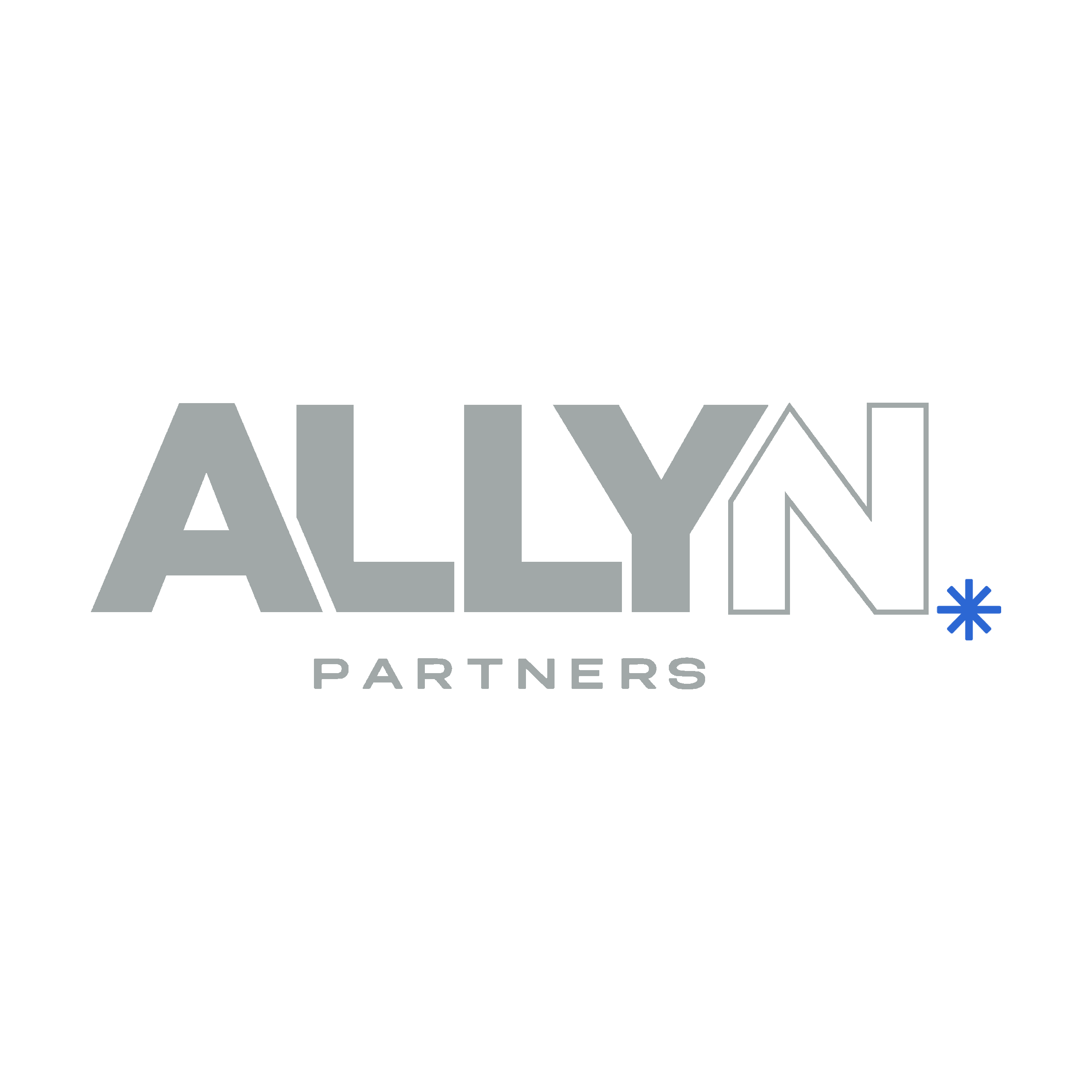 Allyn Partners Brand Development | Hoyden